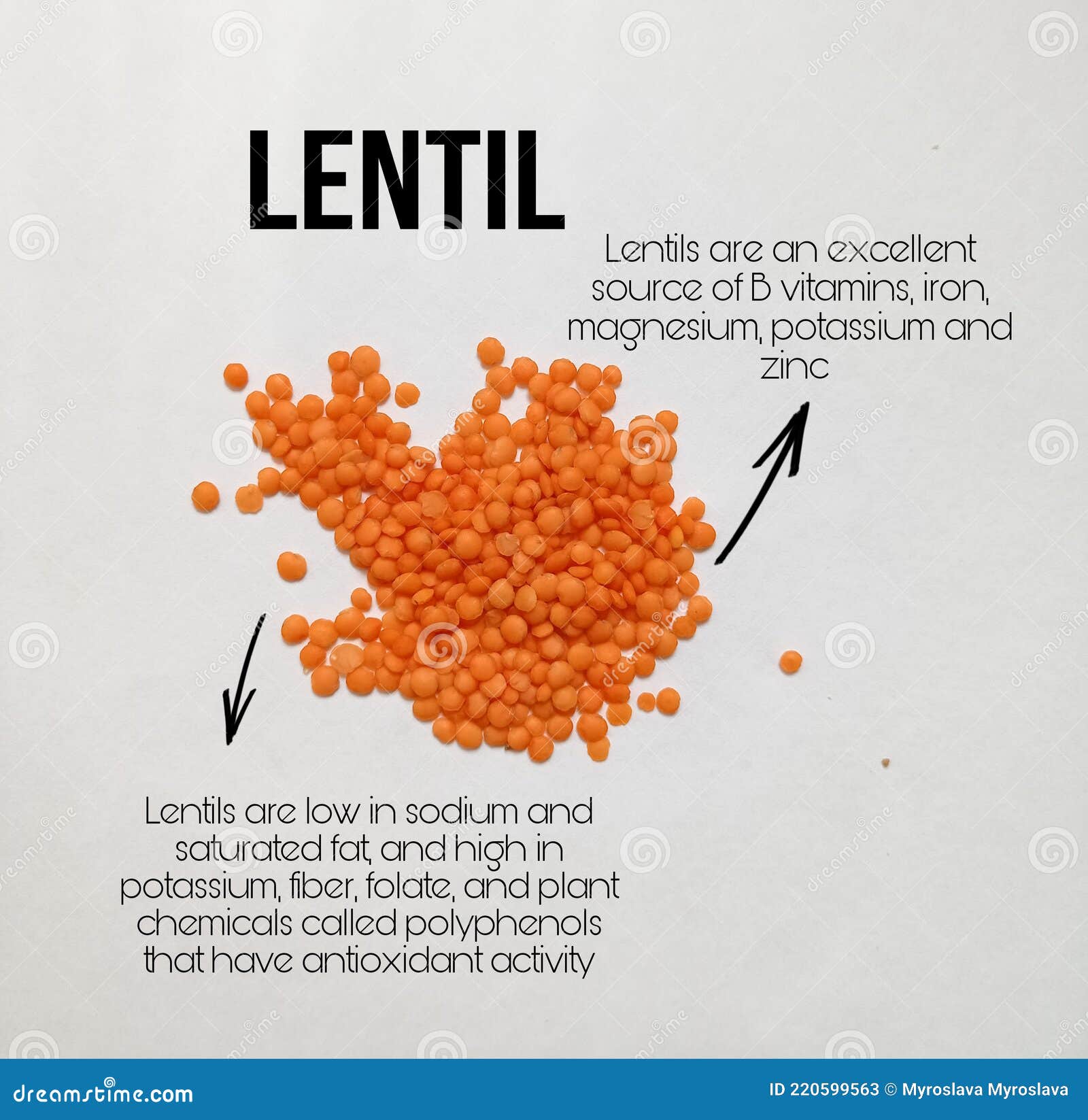 Lentil in a White Background Stock Image - Image of calories, lentil ...
