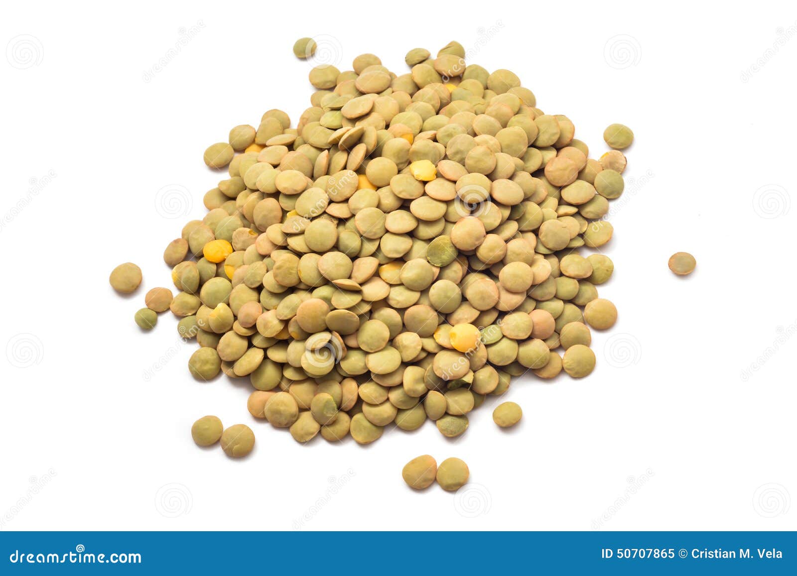 Lentille image stock. Image du graine, blanc, haricot - 50707865