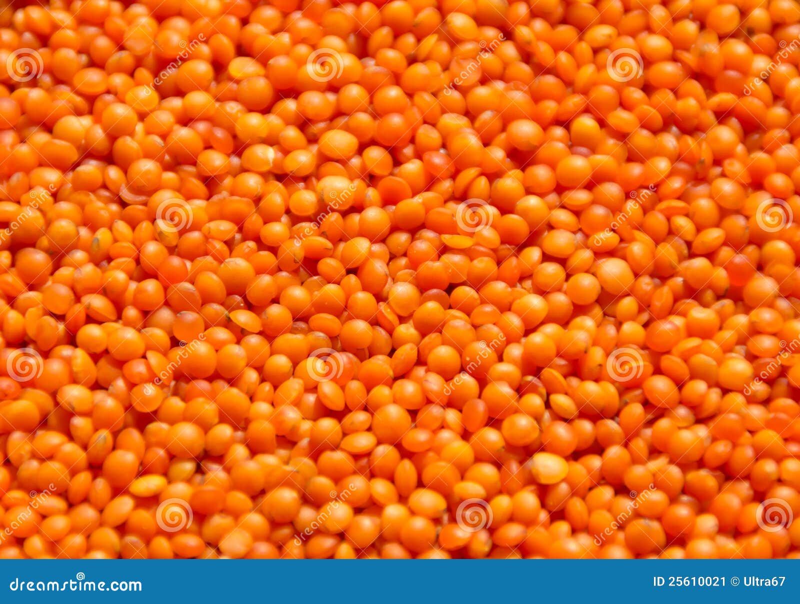 Lentilles rouges image stock. Image du milieux, couleur - 25610021