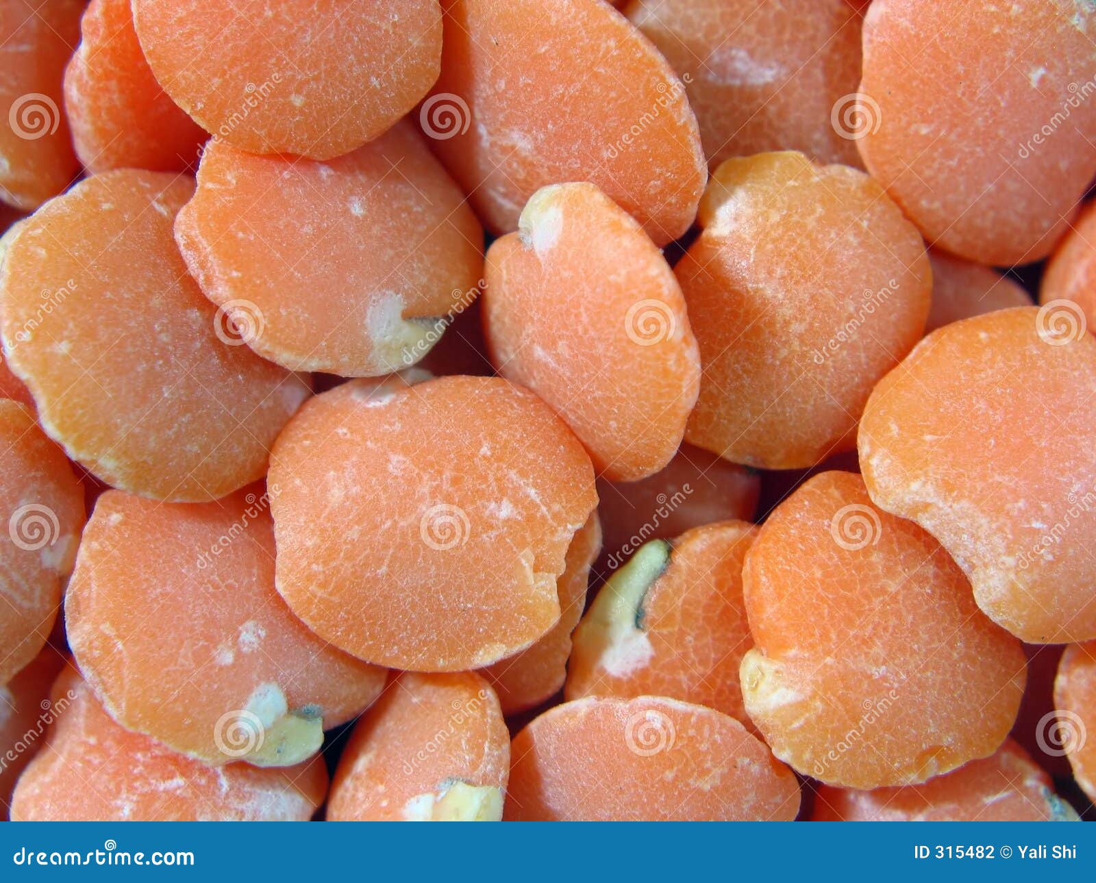 Lentilles rouges photo stock. Image du agrandi, germe, cuisinier - 315482