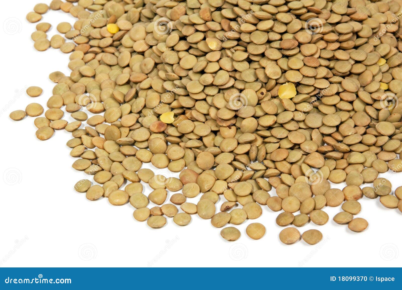 Lentils stock photo. Image of bulk, lentils, healthy - 18099370