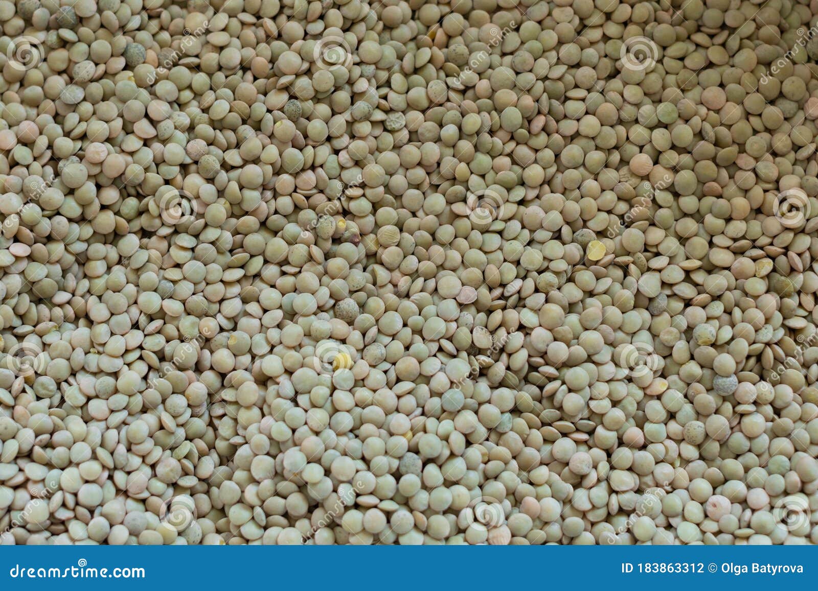 Lentils. Lentils Background. Green Lentils Pattern. Stock Photography ...
