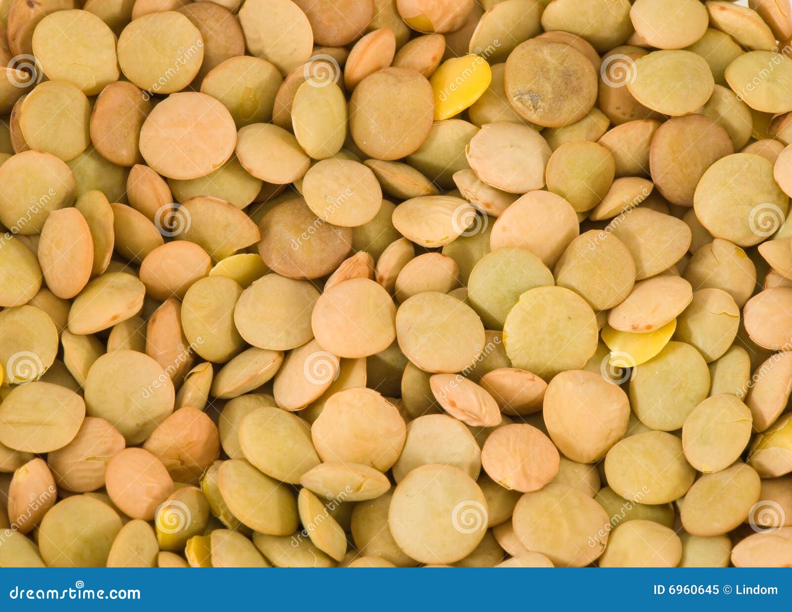 Lentils closeup stock image. Image of healthy, lens, herbs - 6960645