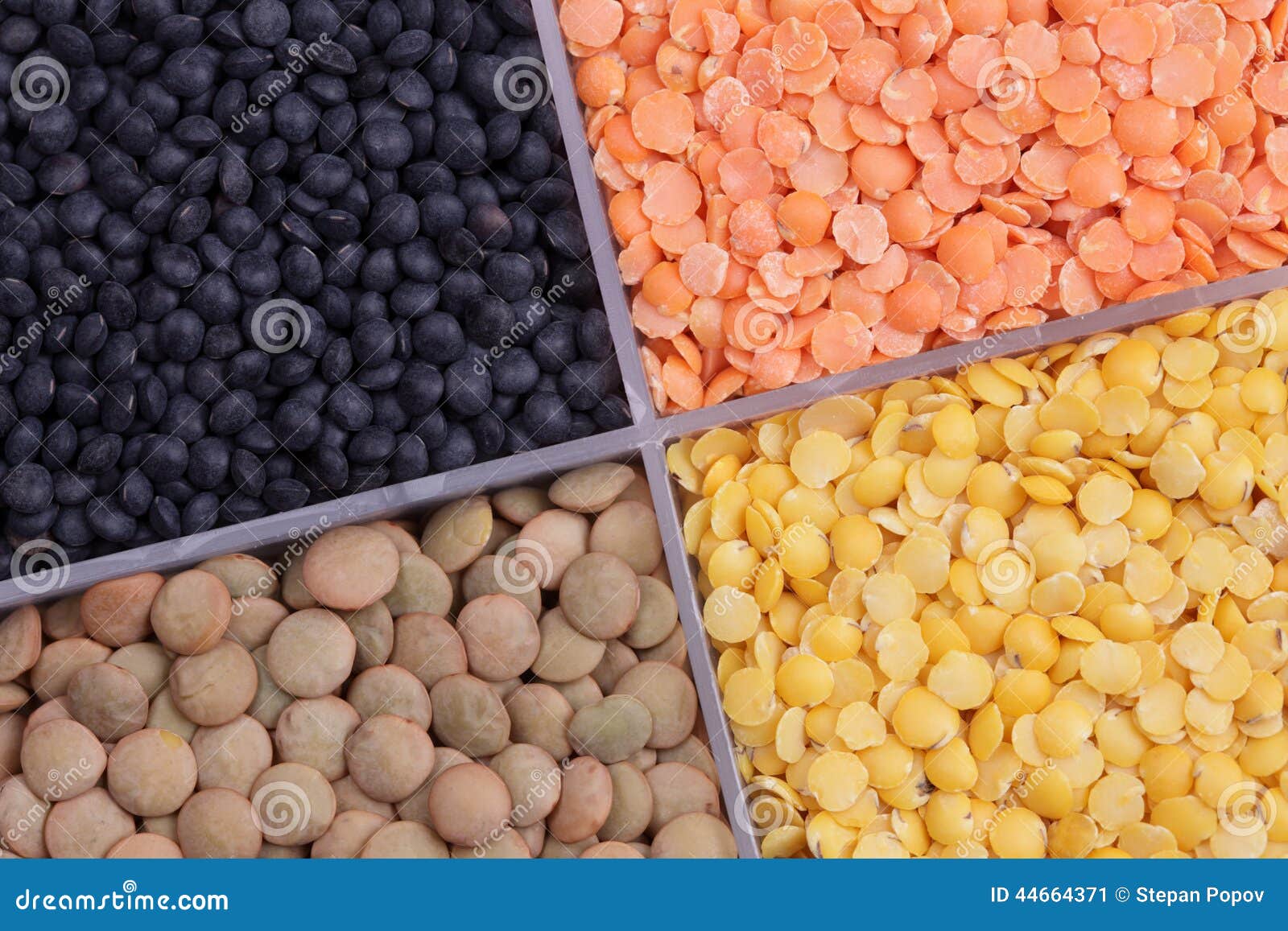 Lentils in a containers stock image. Image of food, organic - 44664371