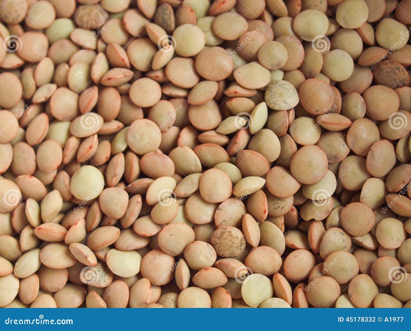 Lentils stock photo. Image of vegetarian, beans, lentils - 45178332
