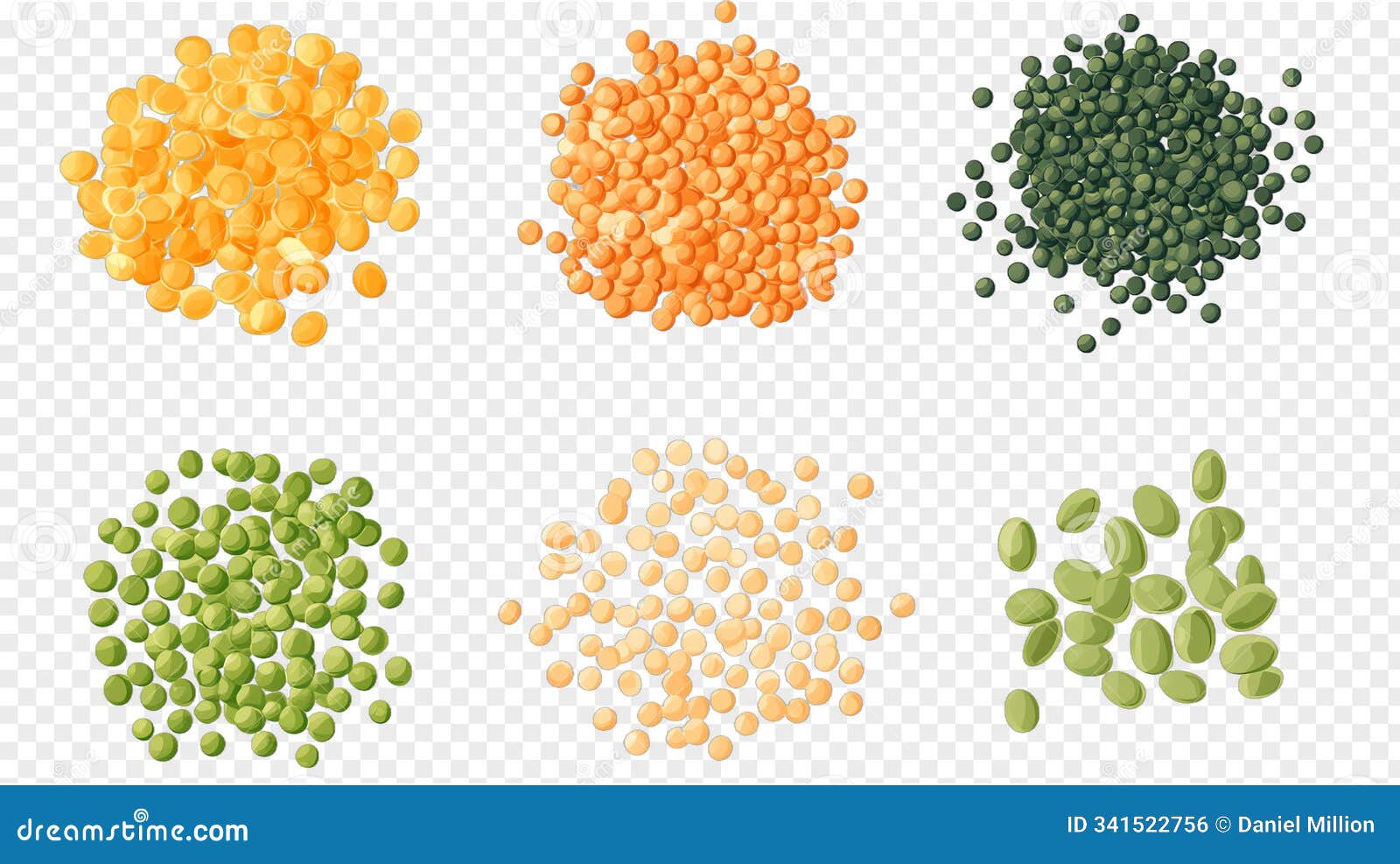 Lentils set illustration stock photo. Illustration of banner - 341522756