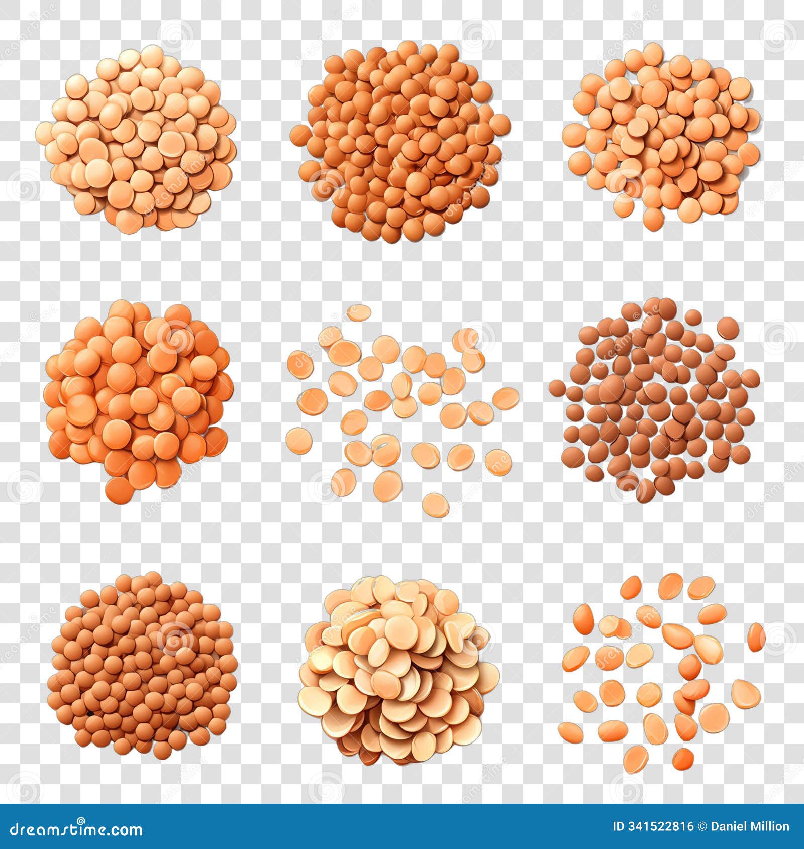 Lentils set illustration stock photo. Illustration of symbol - 341522816
