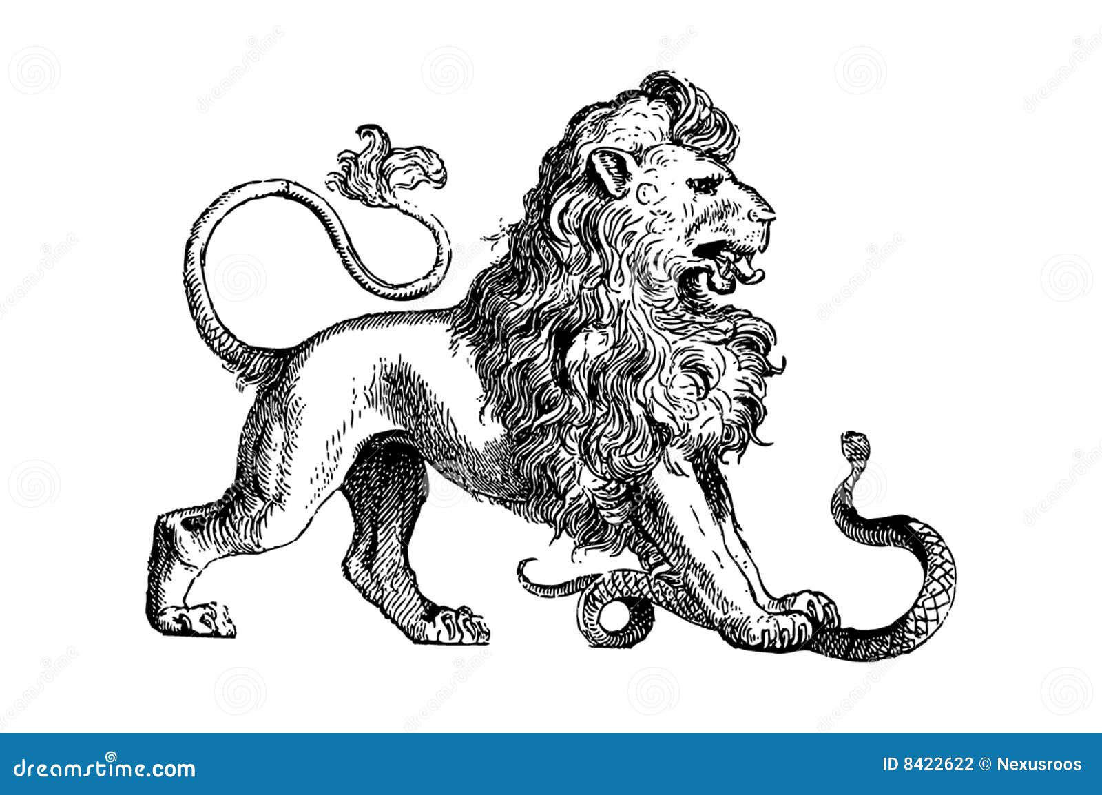 The Leon 01 stock vector. Illustration of power, kingdom - 8422622