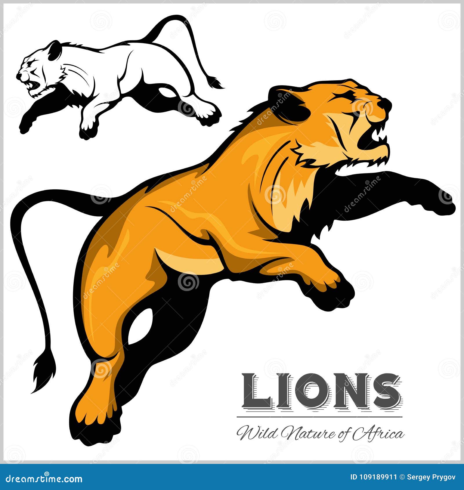 Leona Animal Aislado Vector Ilustración del Vector - Ilustración de ...