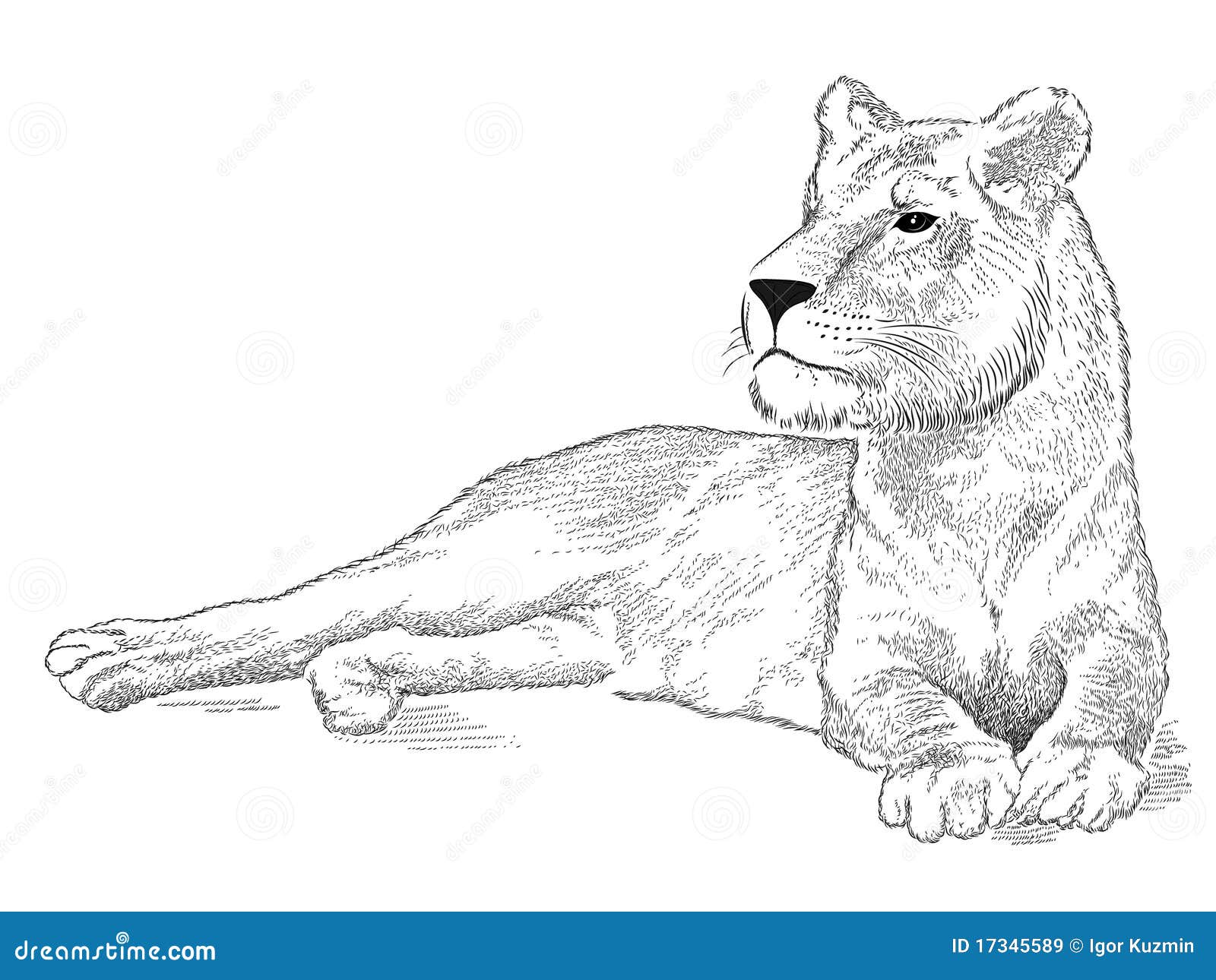 Leona del vector ilustración del vector. Ilustración de selva - 17345589