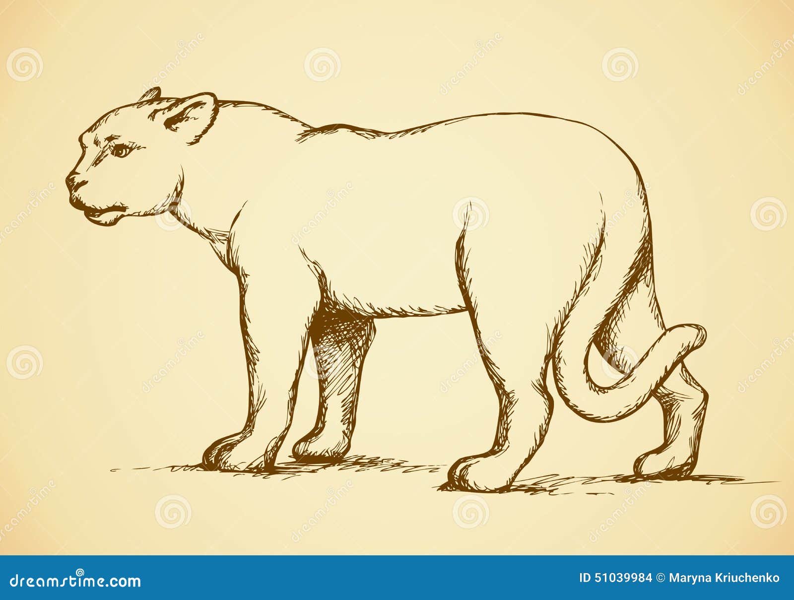 Leona Gráfico del vector ilustración del vector. Ilustración de ...