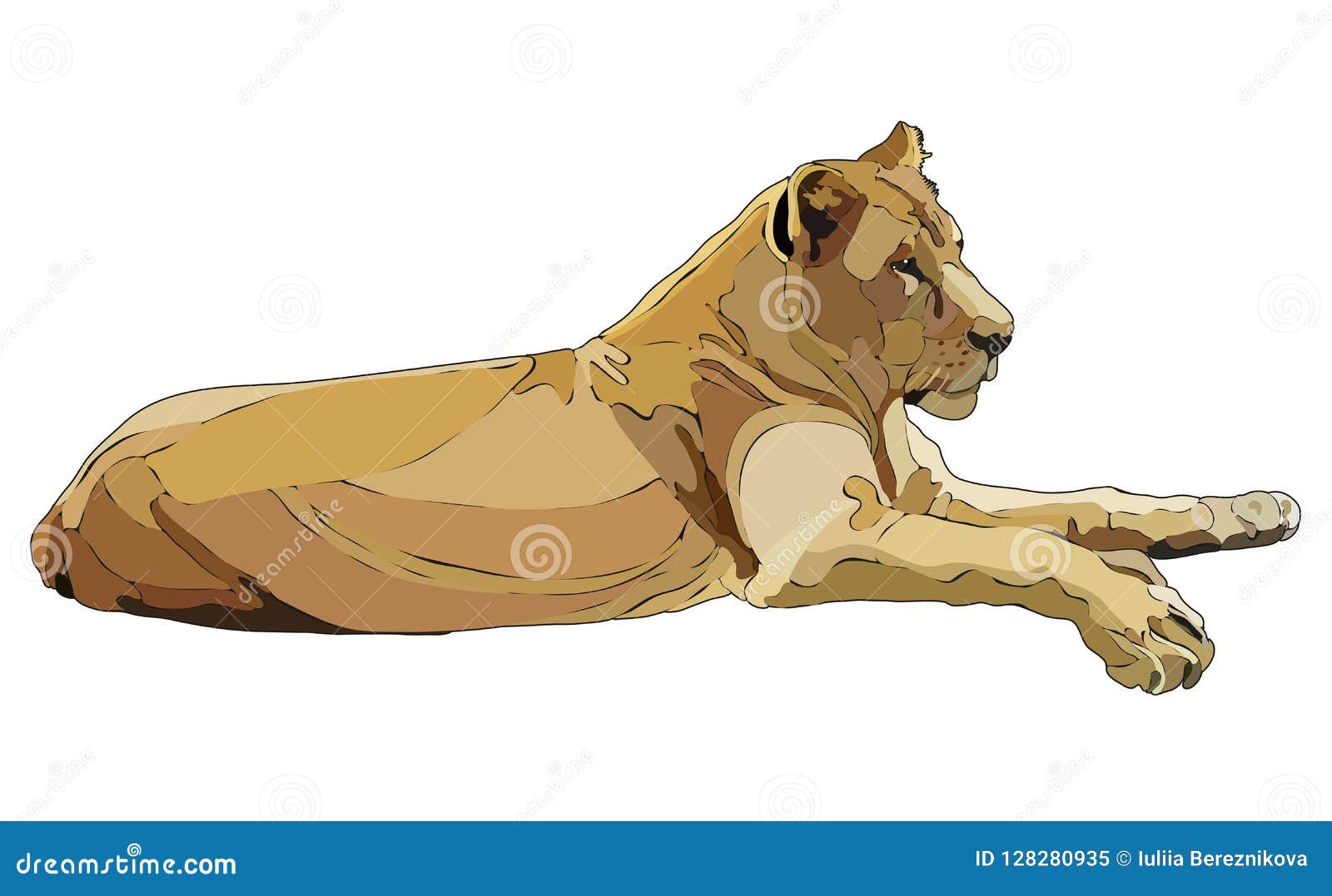 Leona realista en vector ilustración del vector. Ilustración de cubo ...