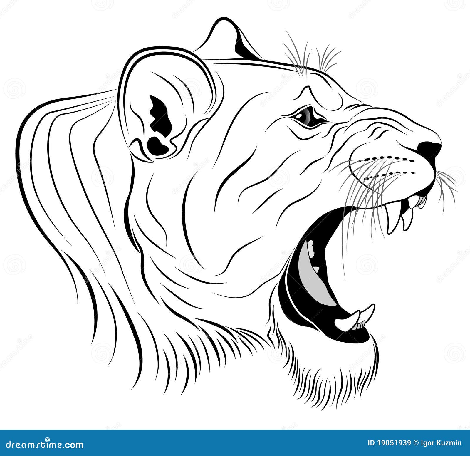 Leona, tatuaje ilustración del vector. Ilustración de cubo - 19051939