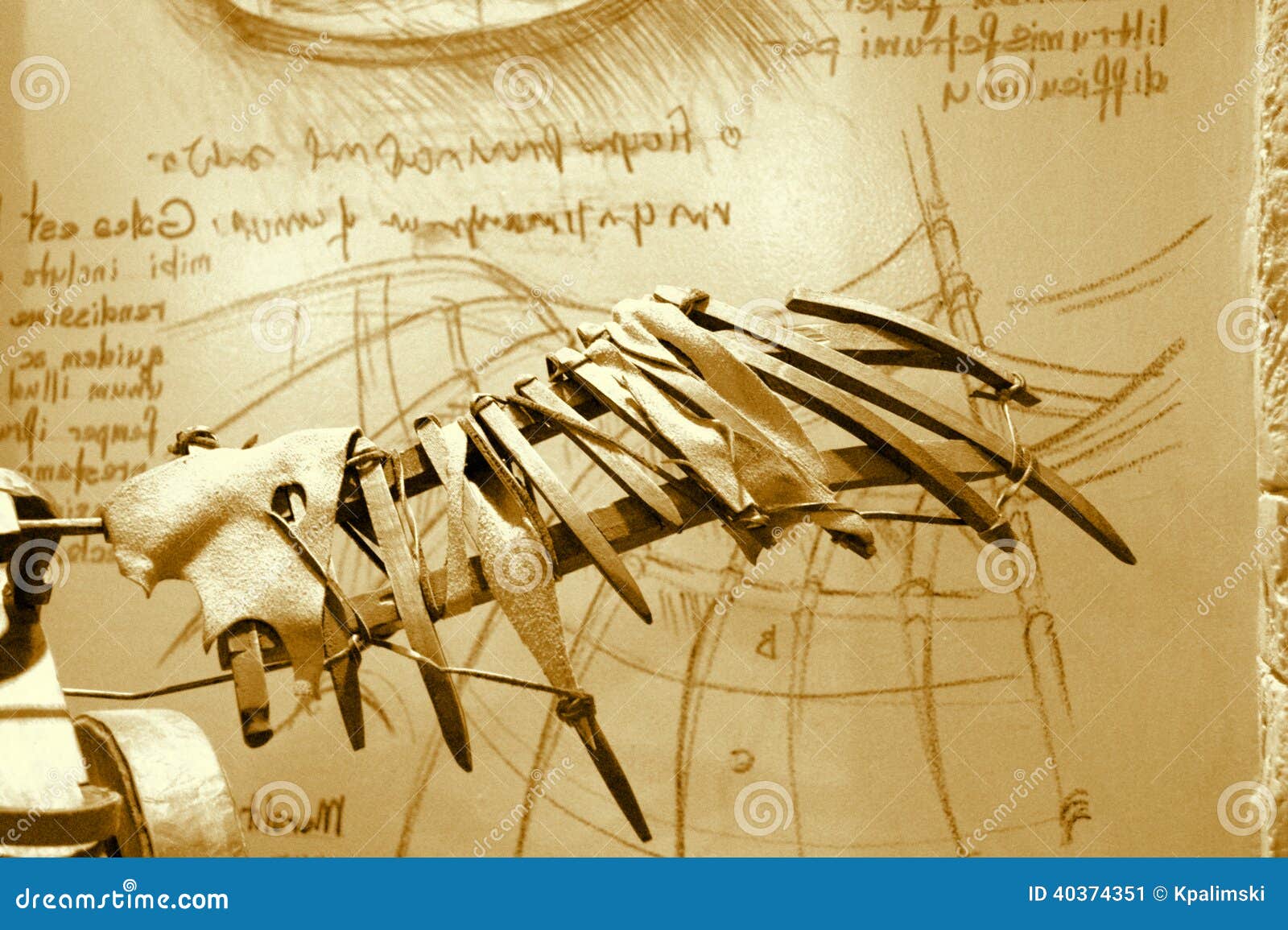 Leonardo Da Vinci Invention D'annata Illustrazione di Stock ...