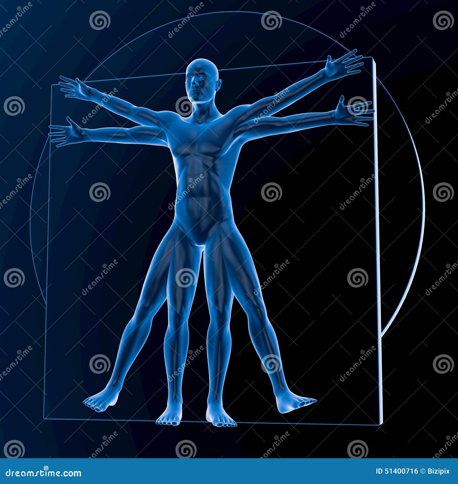 Human Being Da Vinci