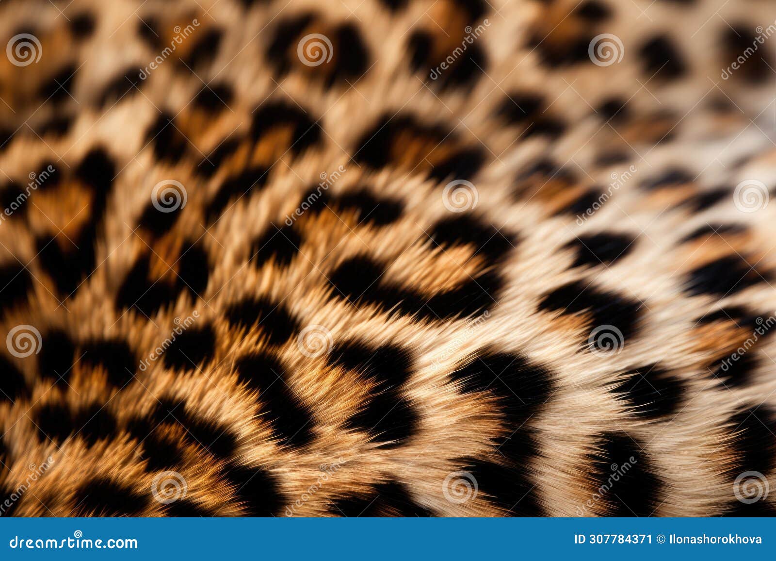 Leopard Fur Macro Shot, Natural Texture. AI Generated Stock Image ...