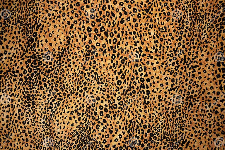 Leopard Animal Print Texture Stock Photo - Image of exotic, predator ...