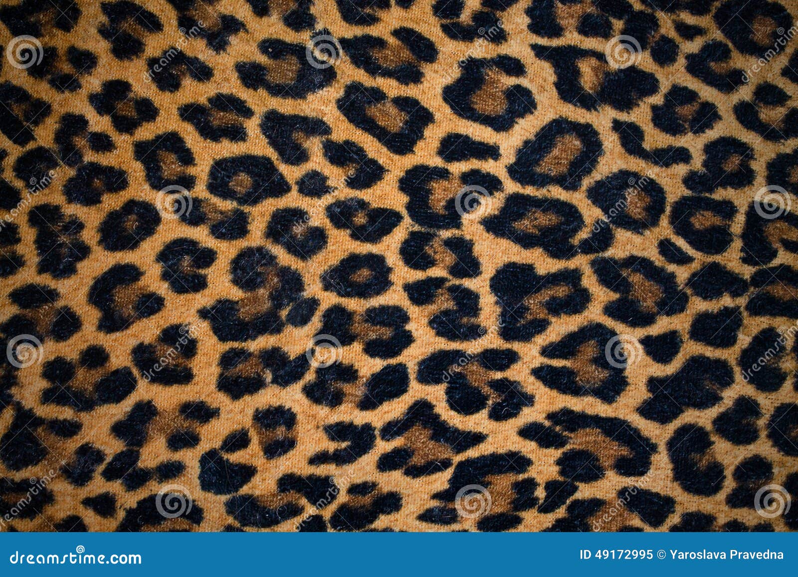 Leopard Background Stock Image | CartoonDealer.com #7635697