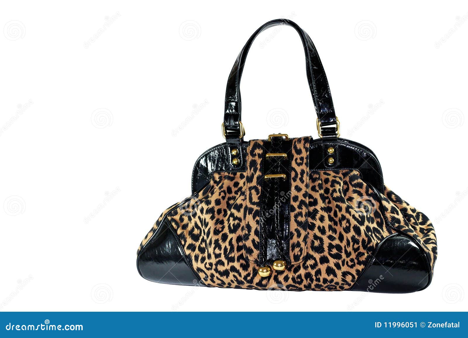 Leopard Bag stock image. Image of beautician, girl, cowhide - 11996051