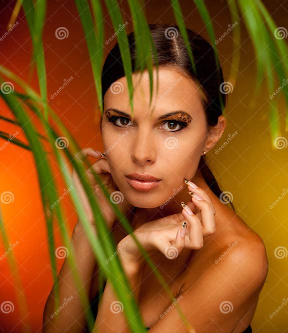 Leopard beauty stock photo. Image of appealing, body - 28644996