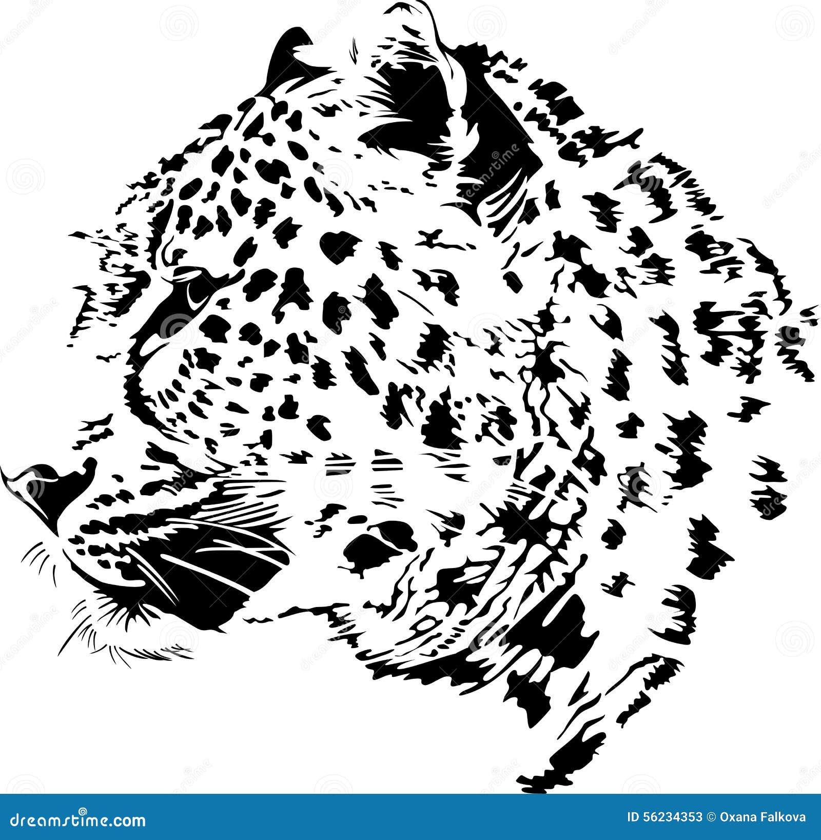 Leopards Muzzle Cartoon Vector | CartoonDealer.com #164125215
