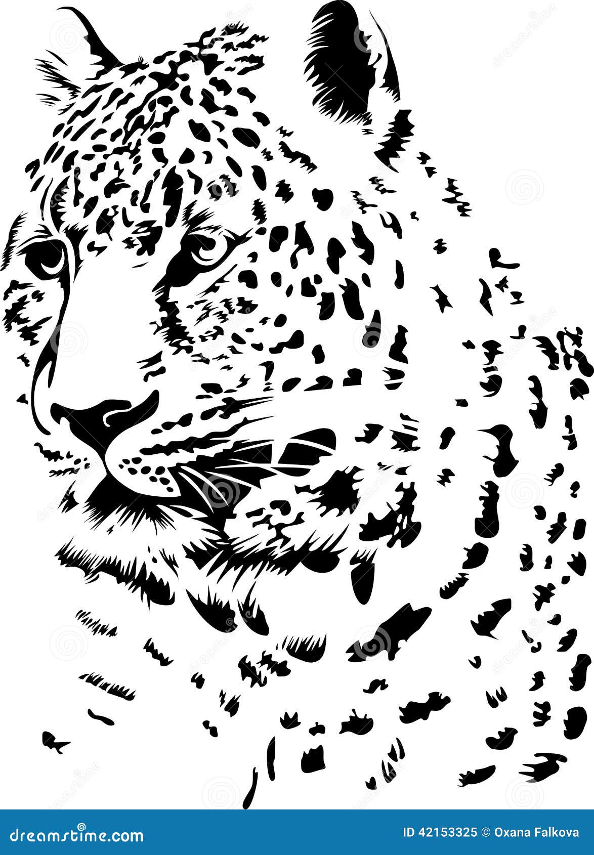 Leopards Muzzle Cartoon Vector | CartoonDealer.com #164125215