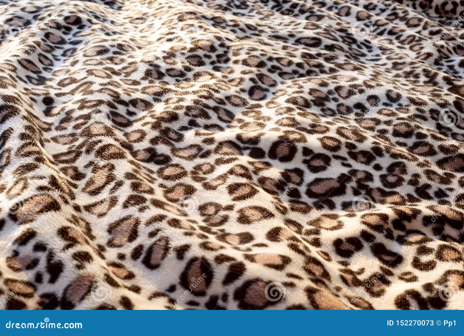 Leopard Cat Pattern Blanket Background Print Stock Image - Image of ...