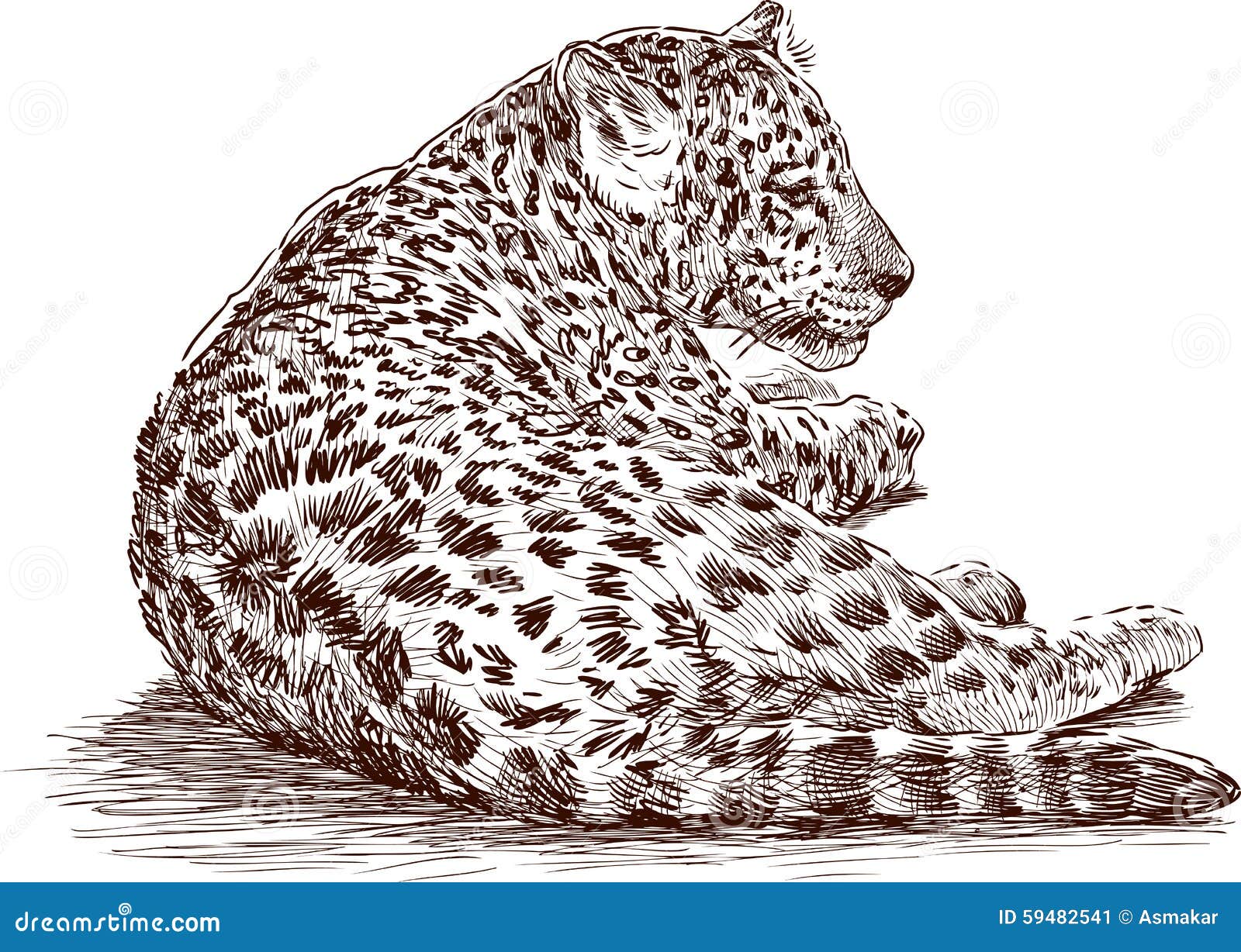 Leopard cub stock vector. Illustration of hand, ears - 59482541