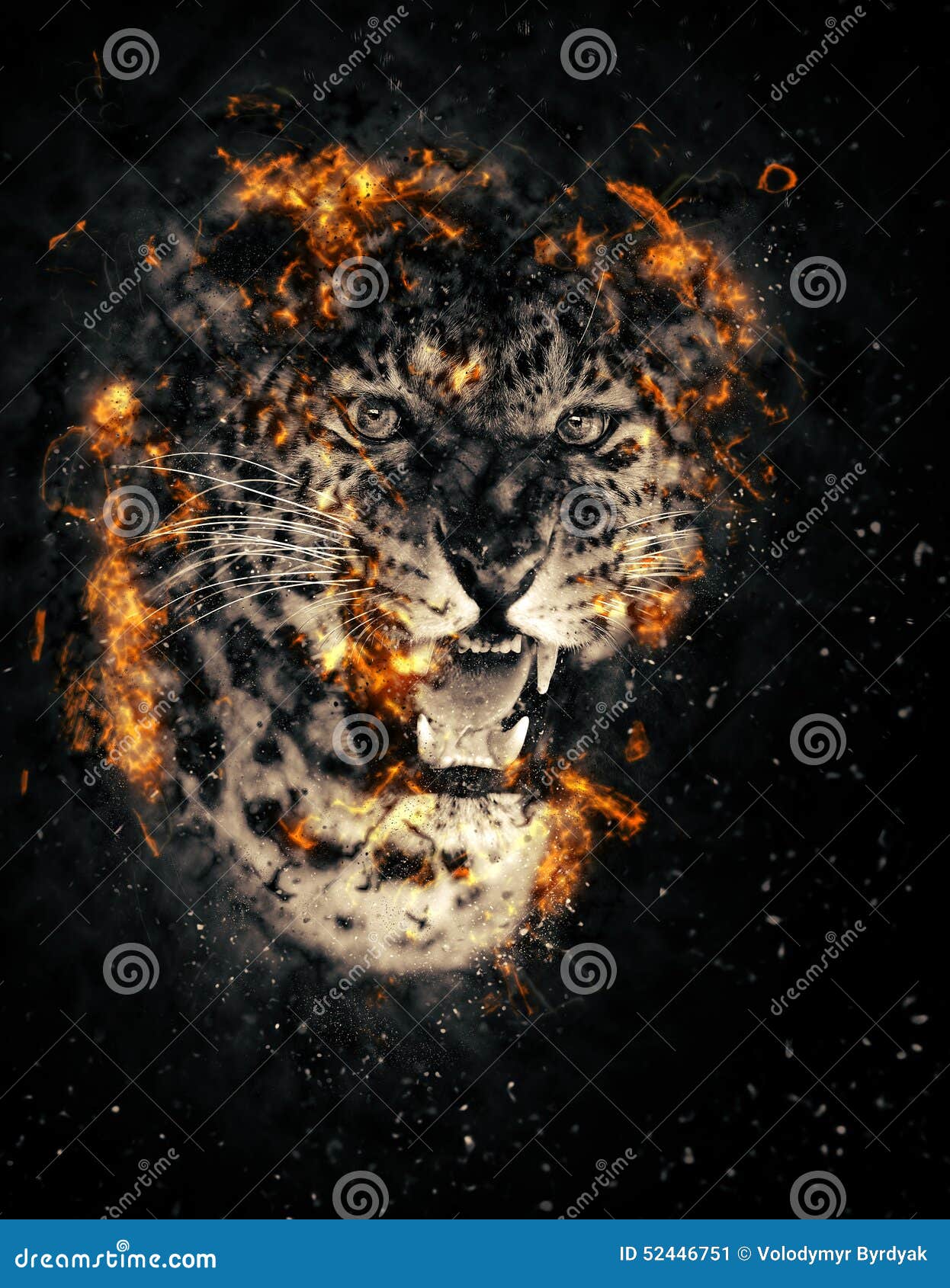 Leopard in fire stock image. Image of animal, hell, leopard - 52446751