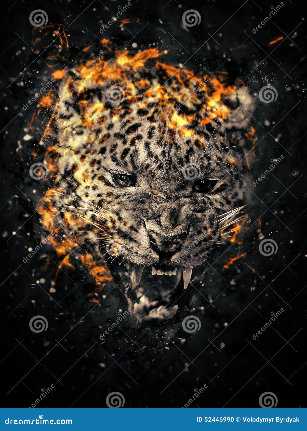 Leopard in fire stock photo. Image of feline, looking - 52446990