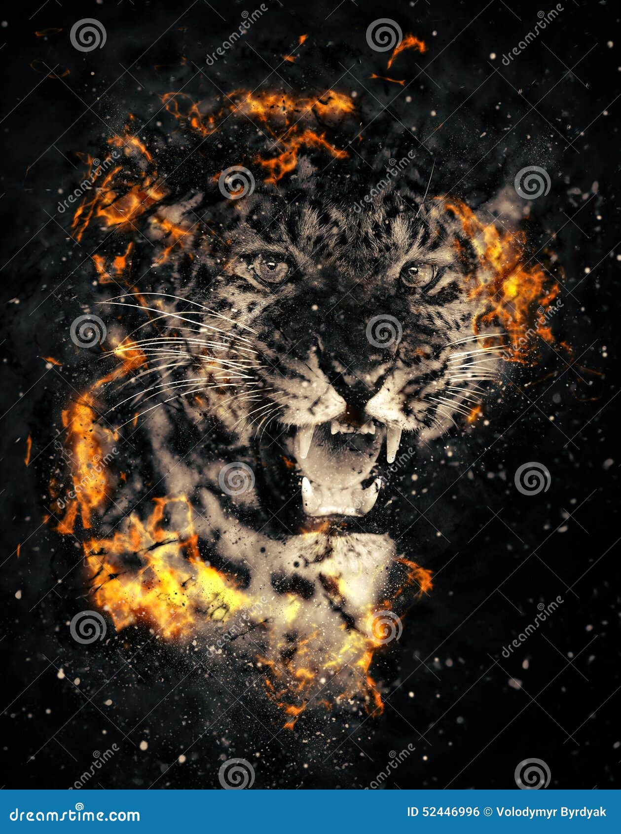 Leopard Fire Stock Photos - Download 99 Images