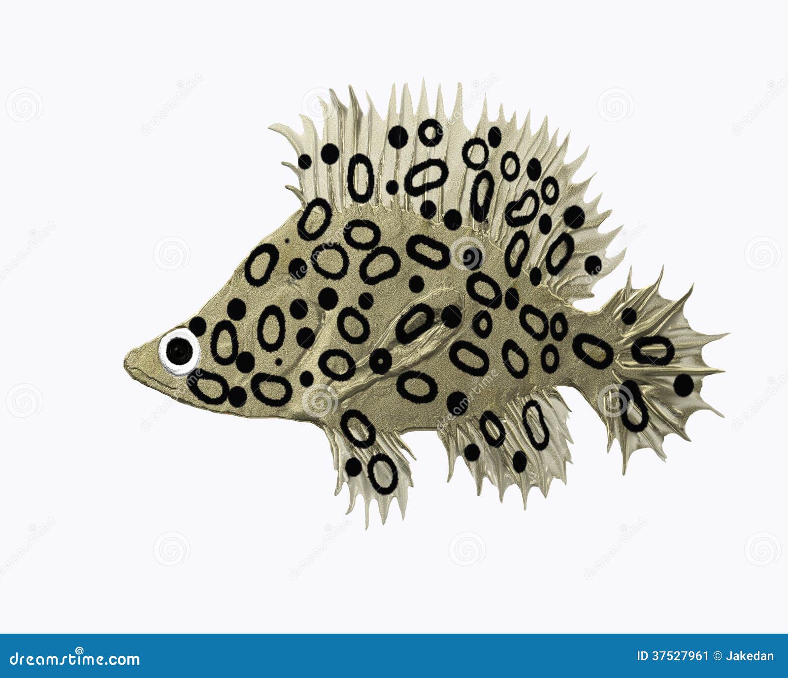 Leopard fish stock image. Image of wildlife, animal, marine - 37527961