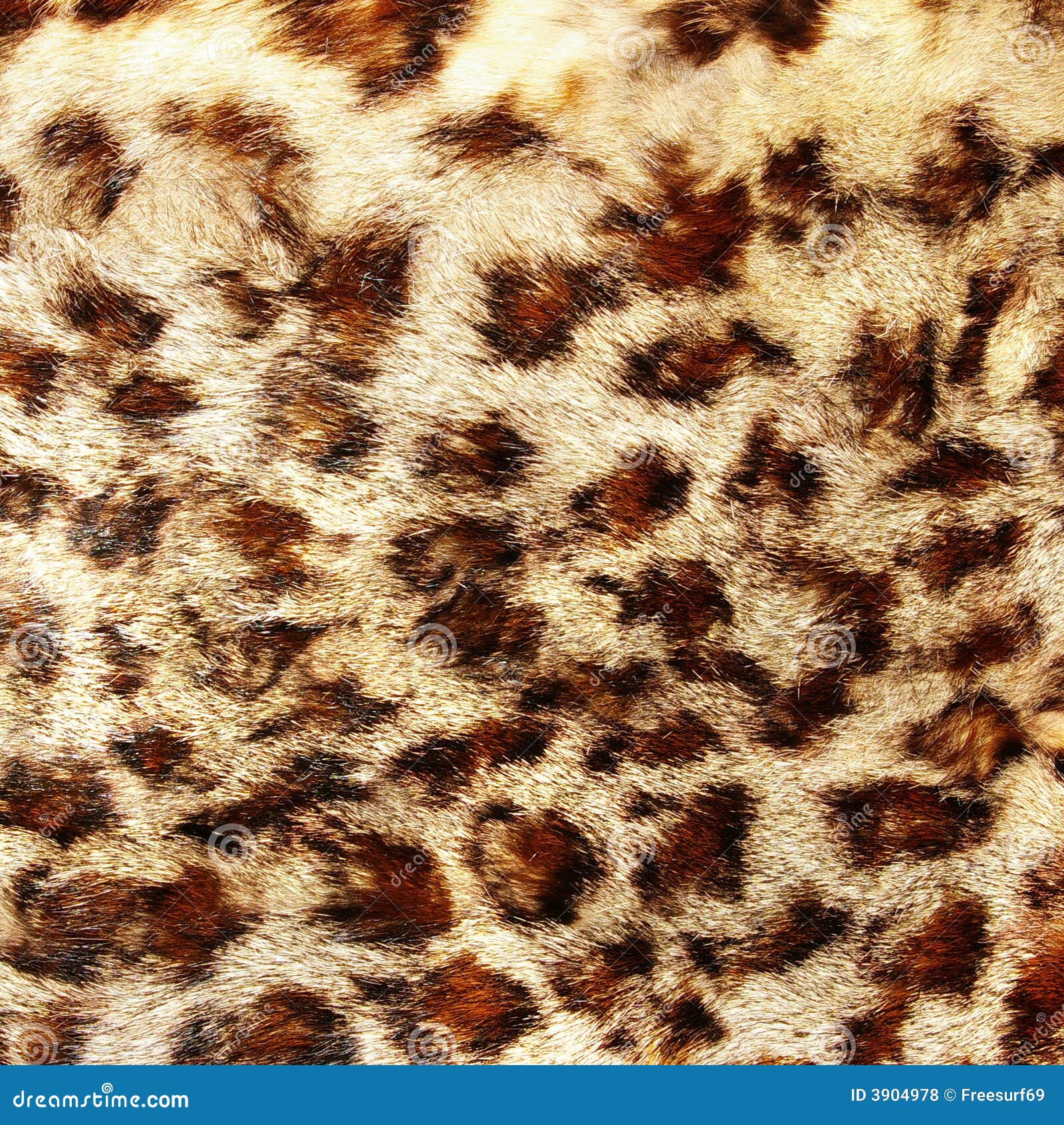Leopard fur stock photo. Image of material, hair, leather - 3904978