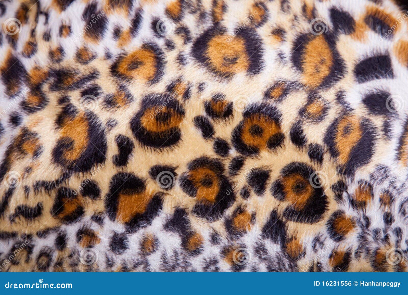 Leopard Fur background stock photo. Image of animal, spot - 16231556