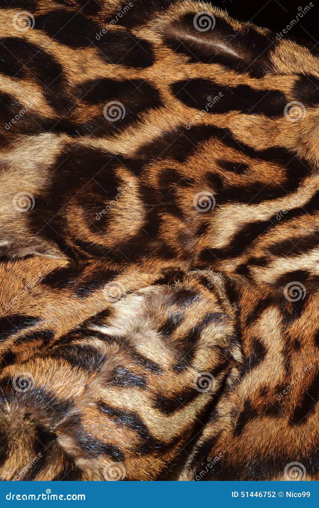 Leopard fur details stock photo. Image of feline, leopards - 51446752