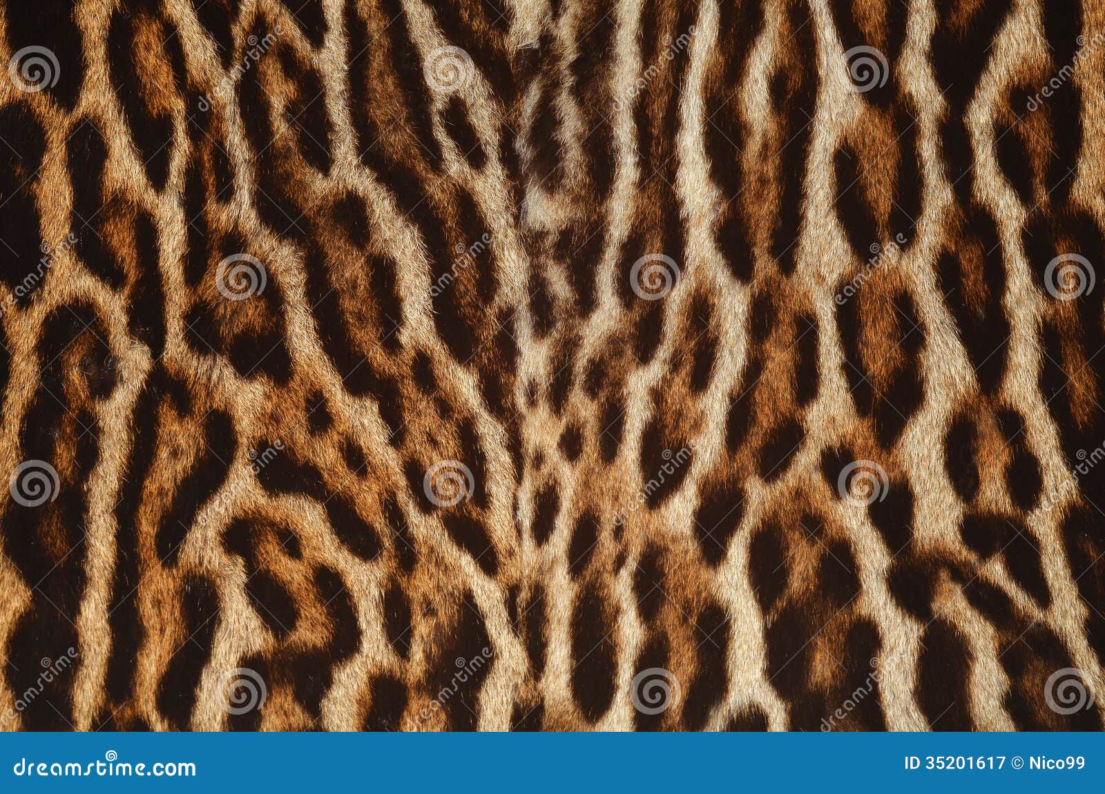 Leopard fur texture stock image. Image of jaguars, textures - 35201617