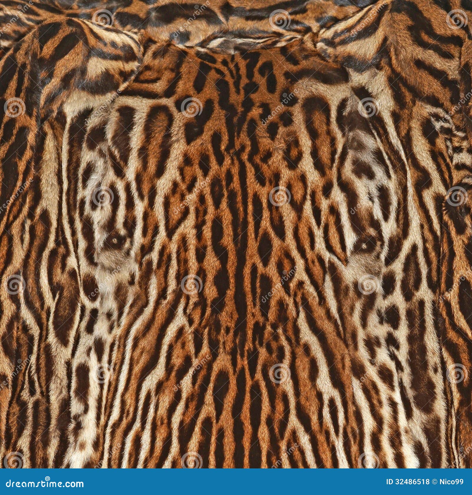 Leopard Fur Texture Background Stock Photo - Image of leopards, mimetic ...