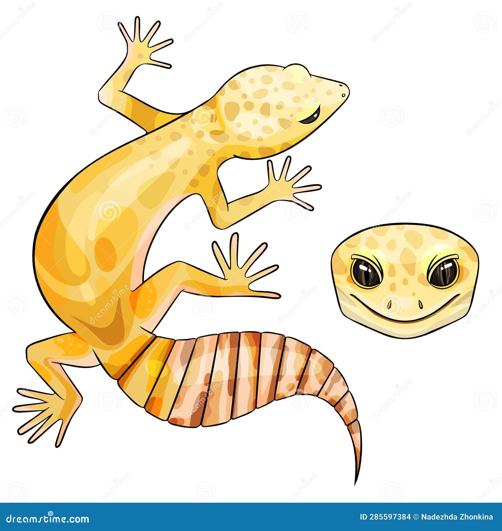 Leopard Gecko Rainwater Albino Vector Illustration | CartoonDealer.com ...