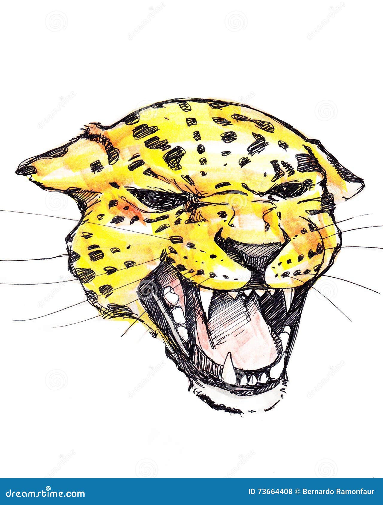 Leopard Hand Drawn Illustration Stock Illustration - Illustration of ...