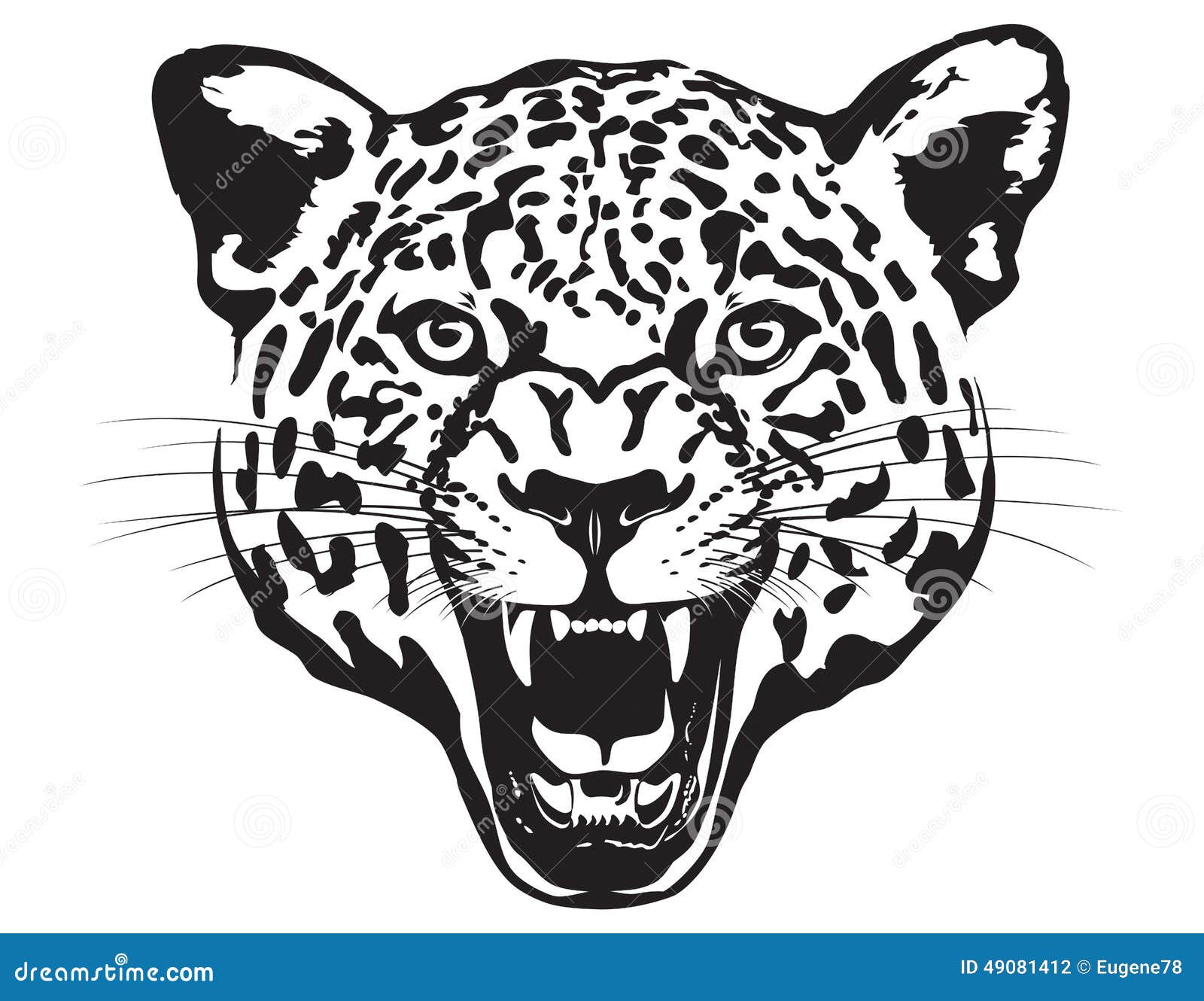 Leopard Head. Illustration. Stock Vector - Illustration of cutout ...