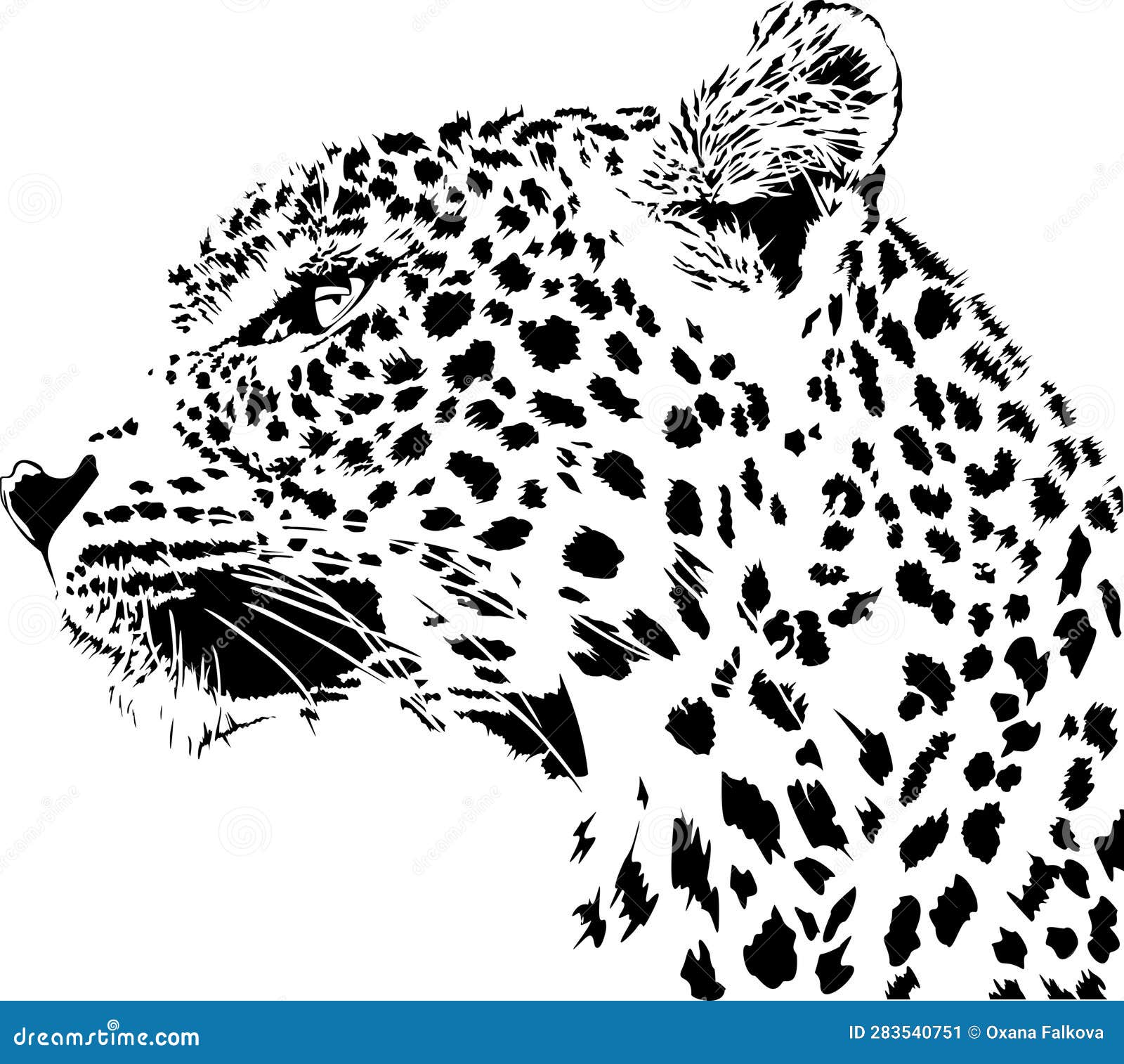 Leopard head stock vector. Illustration of drawing, carnivore - 283540751