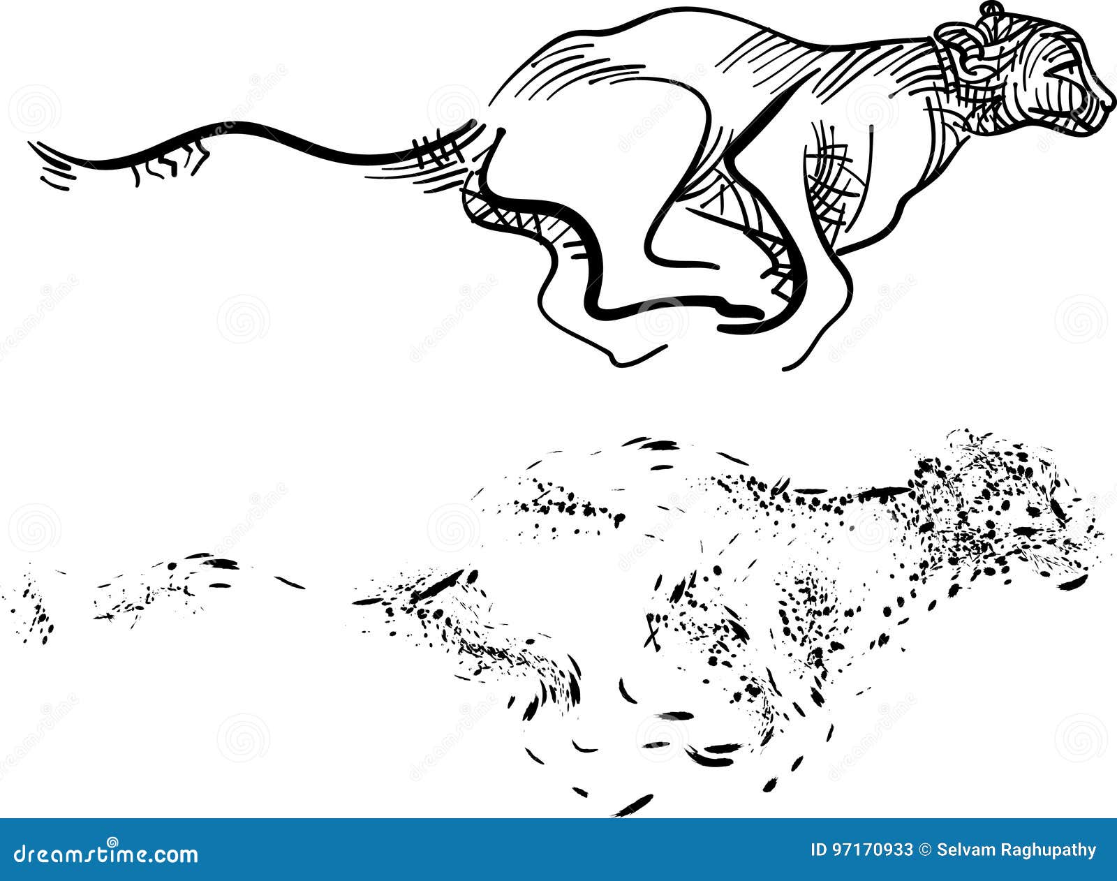 Black Panther Running Full Speed