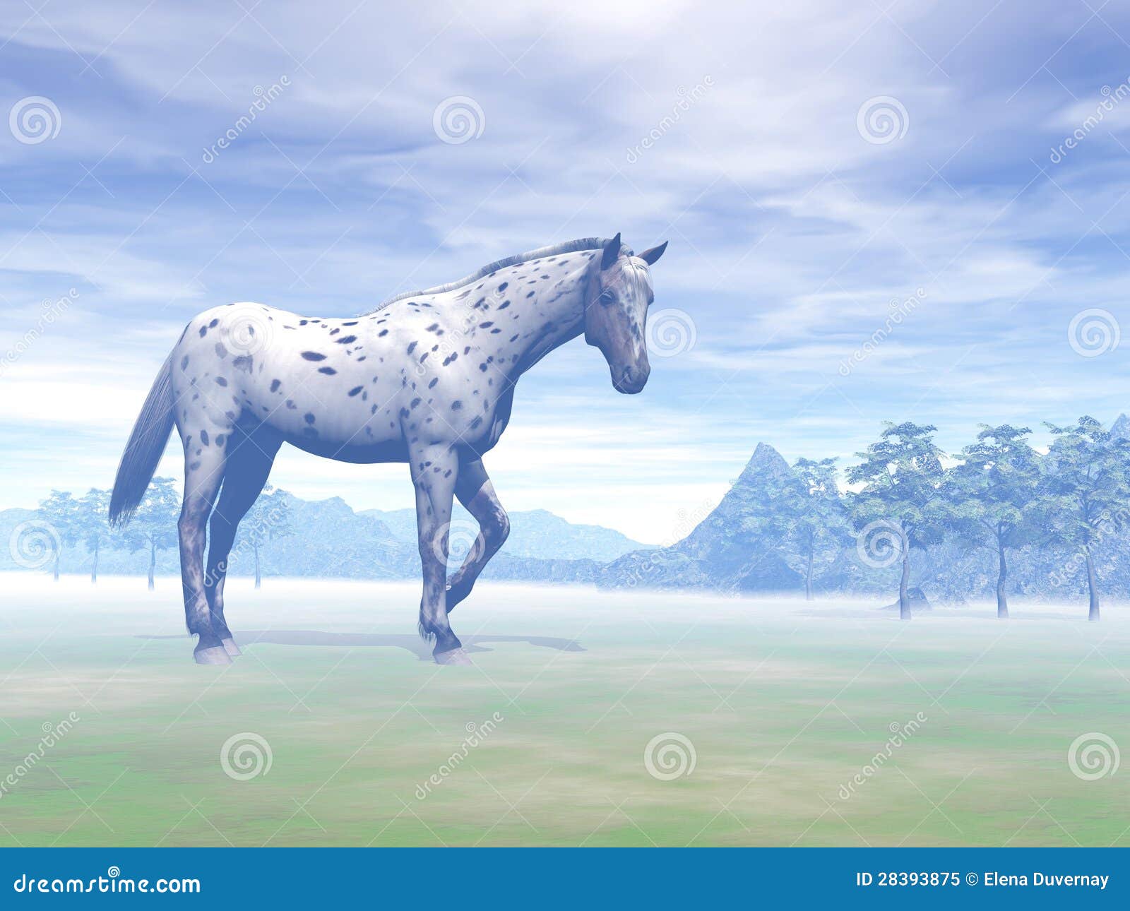 Leopard Appy Horse On A White Background. Royalty-Free Stock Photo ...