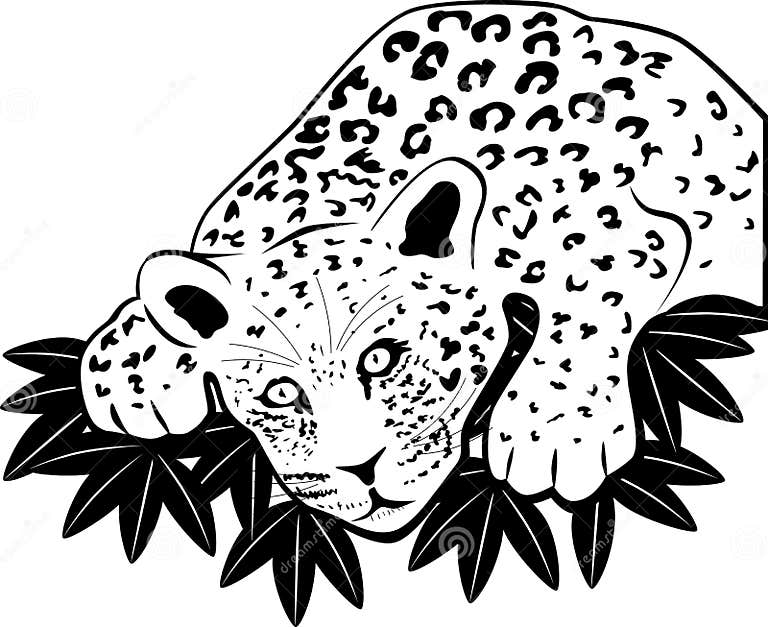 Leopard on the hunt stock vector. Illustration of prey - 23265487