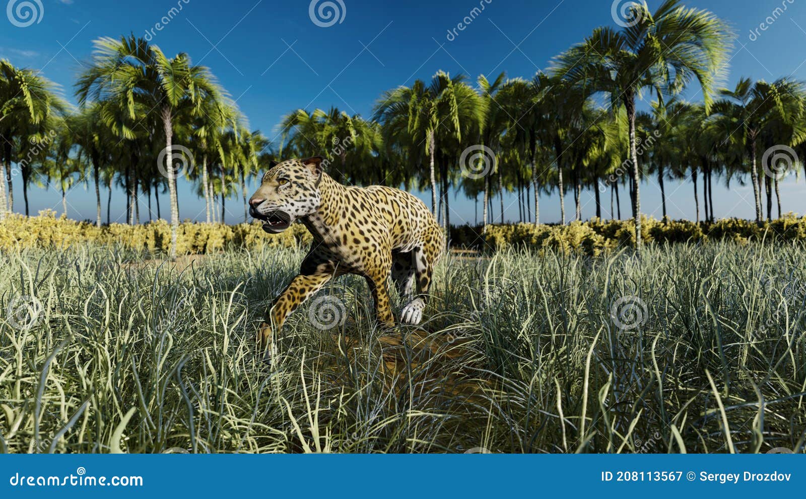 Leopard on the hunt stock illustration. Illustration of park - 208113567
