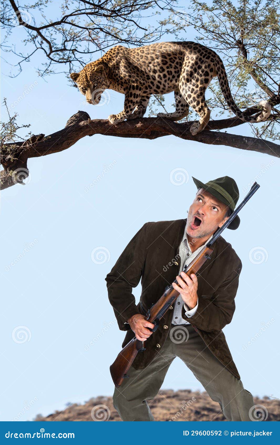 Leopard hunter stock photo. Image of blue, branch, wildlife - 29600592