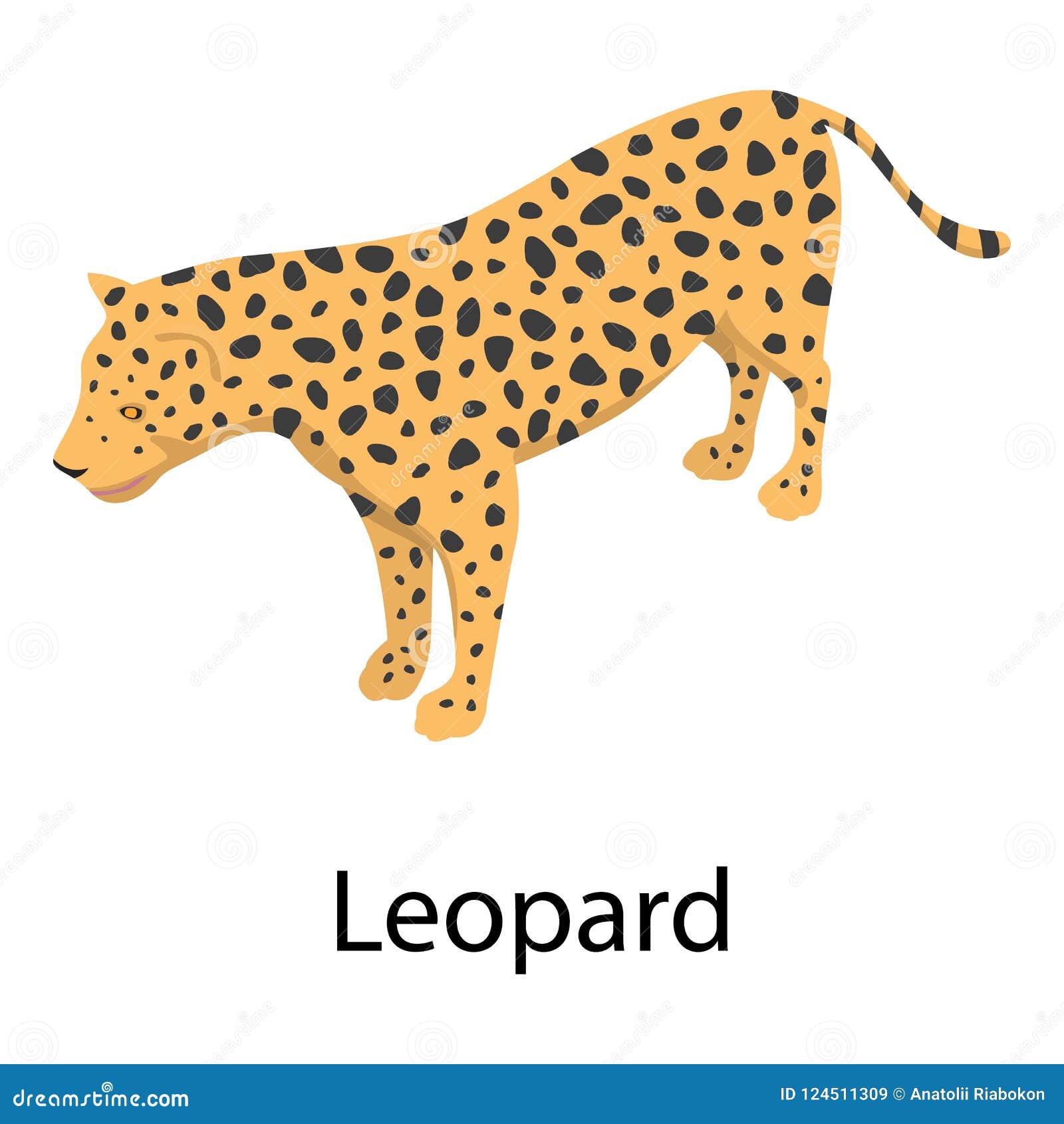 Leopard Icon, Isometric Style Stock Illustration - Illustration of ...