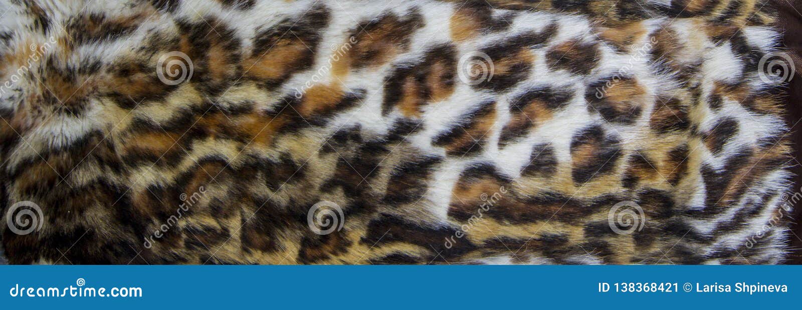 Leopard, Jaguar Fur with Stained on Skin Texture, Close Up Stock Image ...
