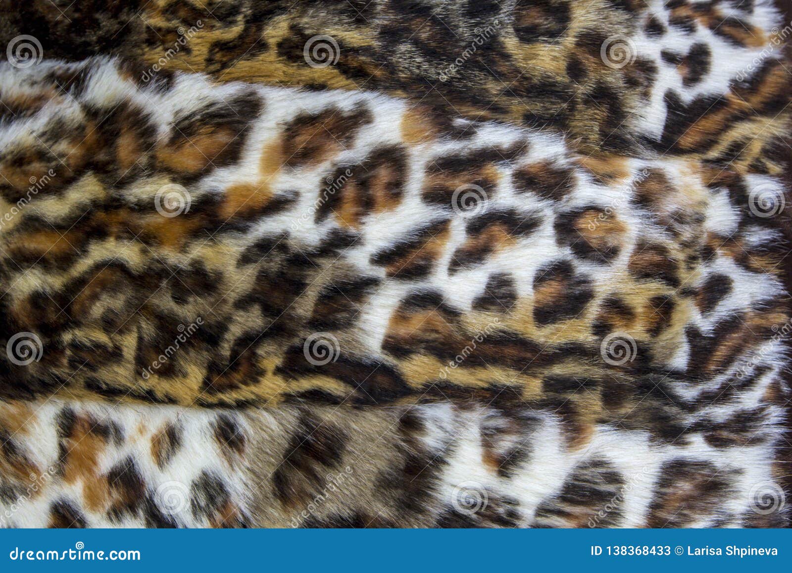 Leopard, Jaguar Fur with Stained on Skin Texture, Close Up Stock Image ...