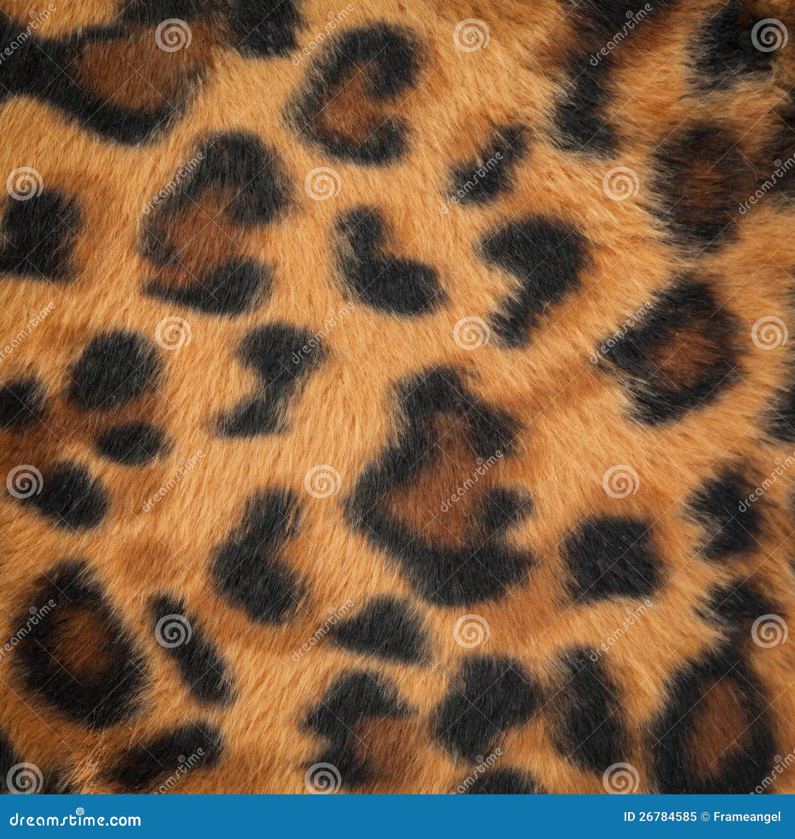 Leopard Jaguar Skin Pattern Stock Photos - Download 848 Royalty Free Photos